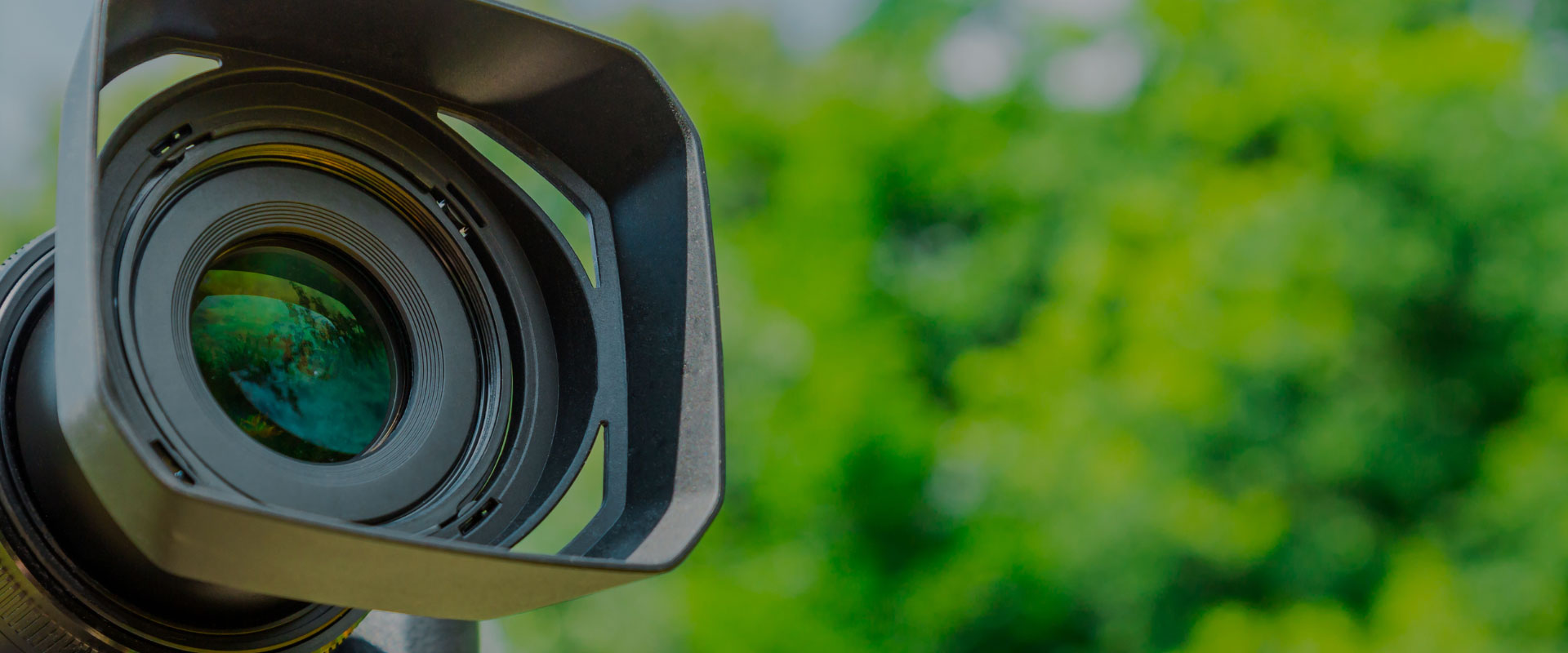 IESI - Initiative for Environmental Standardization and Innovation